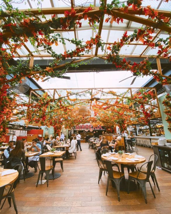Fall in NYC: The Best Fall Activities in New York City ...
