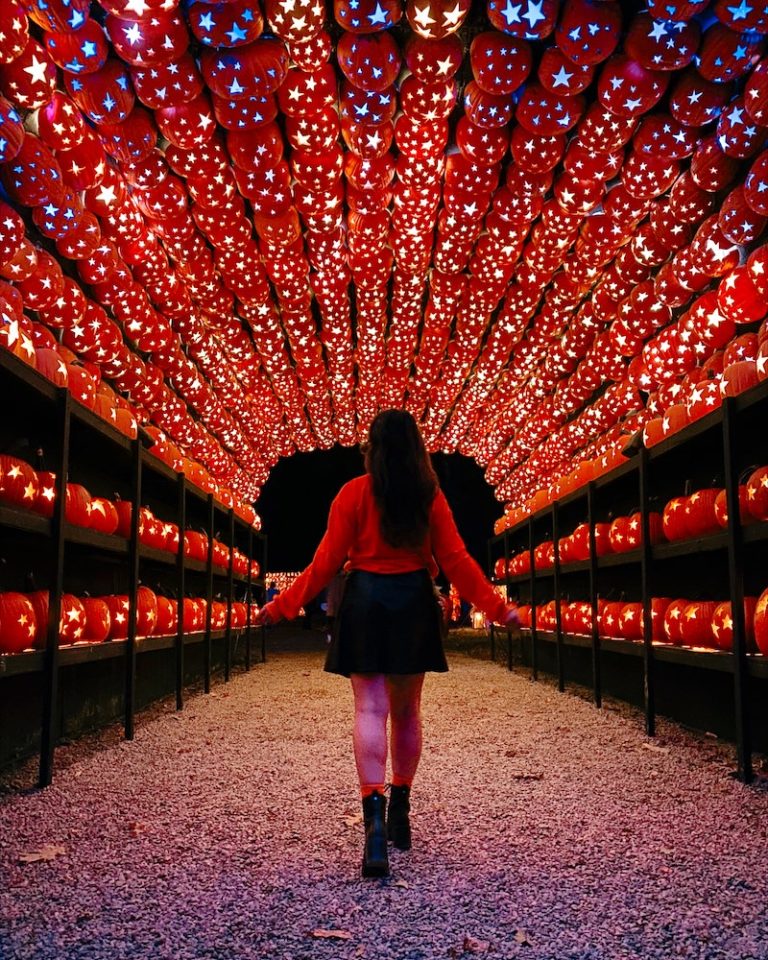 Fall in NYC: The Best Fall Activities in New York City ...
